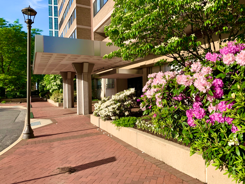 9 Hawthorne Place - Boston, MA | ApartmentAdvisor